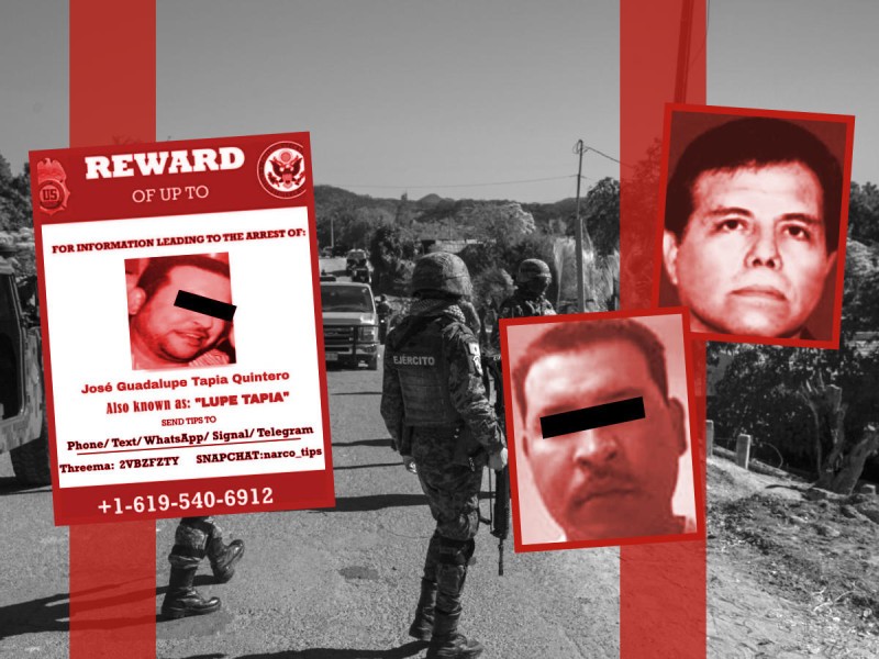 Cae Hermano De Lupe Tapia Principal Operador De El Mayo Zambada
